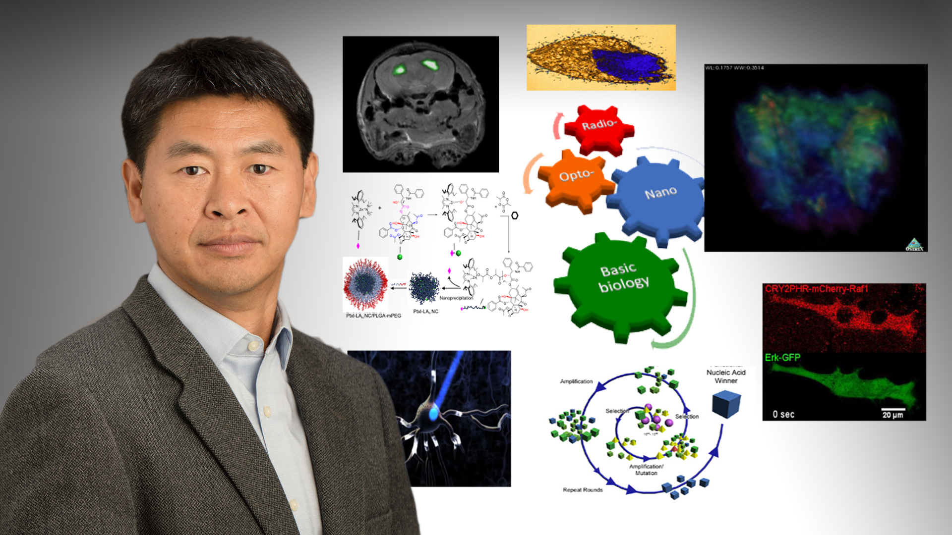 Meng gains $2M NIH grant to develop XFET imaging techniques | Nuclear ...